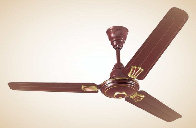 गर्मी के बीच ग्रामीण ने विद्यालय को पंखा किया दान