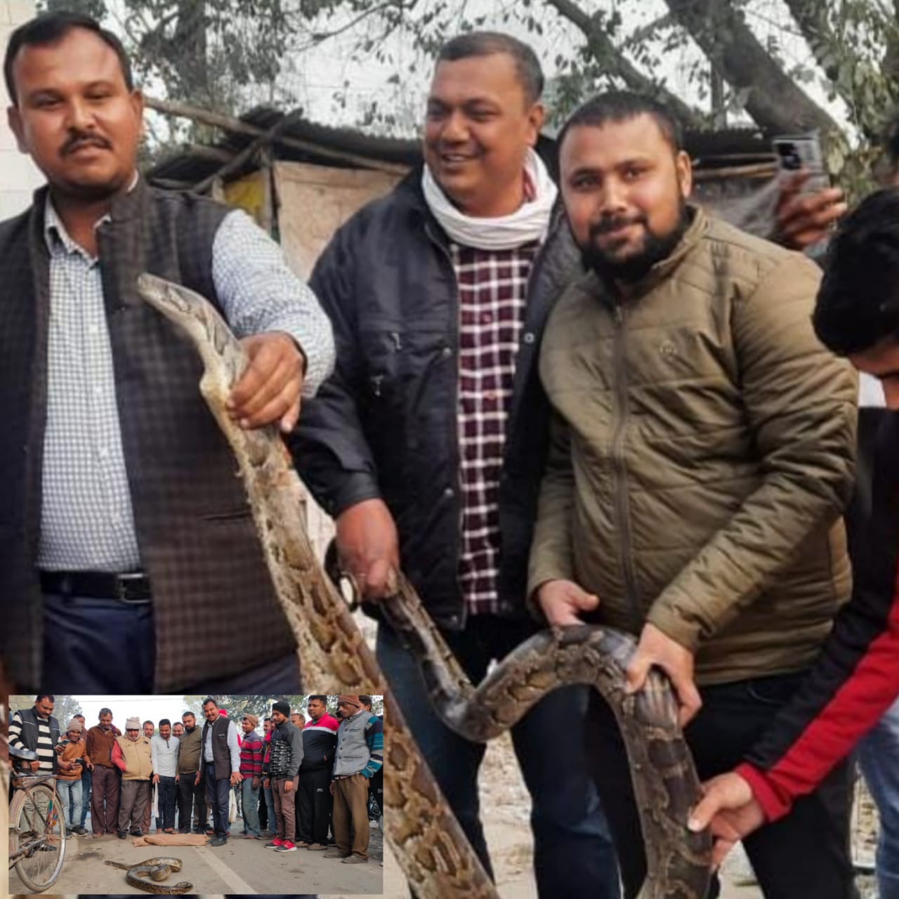 सोनौली गांव में मिला विशालकाय अजगर, मुखिया प्रतिनिधि ने सौंपा वन विभाग को