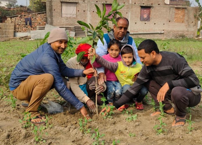 बाढ़ से सूखे पेड़ की जगह हुआ पौधारोपण